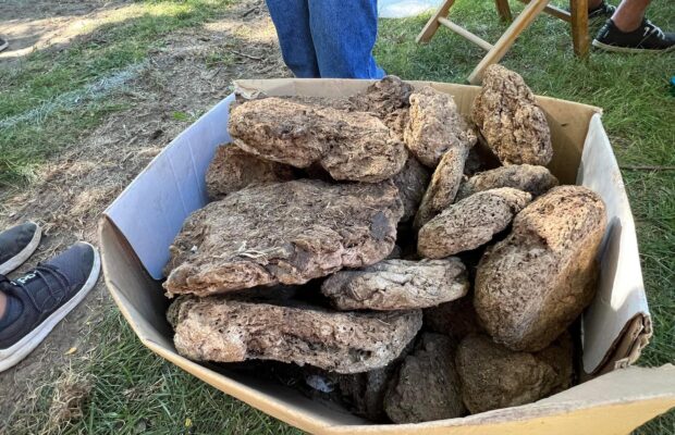 Cow Chip Throwing Contest | ESPN Des Moines